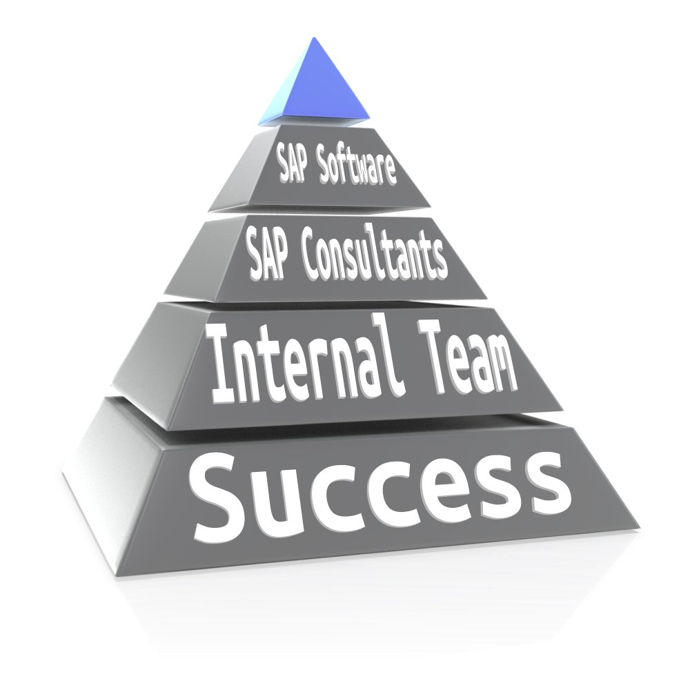 How to Plan Your SAP Project Resource Requirements [Consultation]