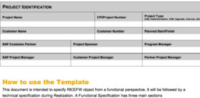 Specify WRICEF Objects from a Functional Perspective|Conversion Template