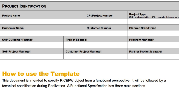 Specify WRICEF Objects from a Functional Perspective|Conversion Template