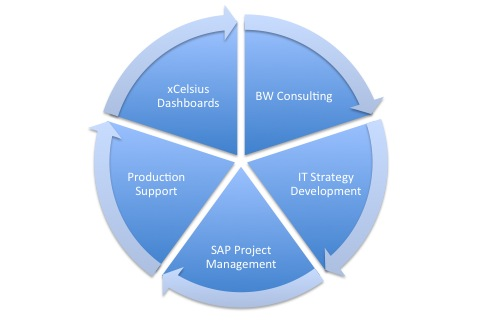 SAP BW Consulting|Dashboard Development|Strategy Development
