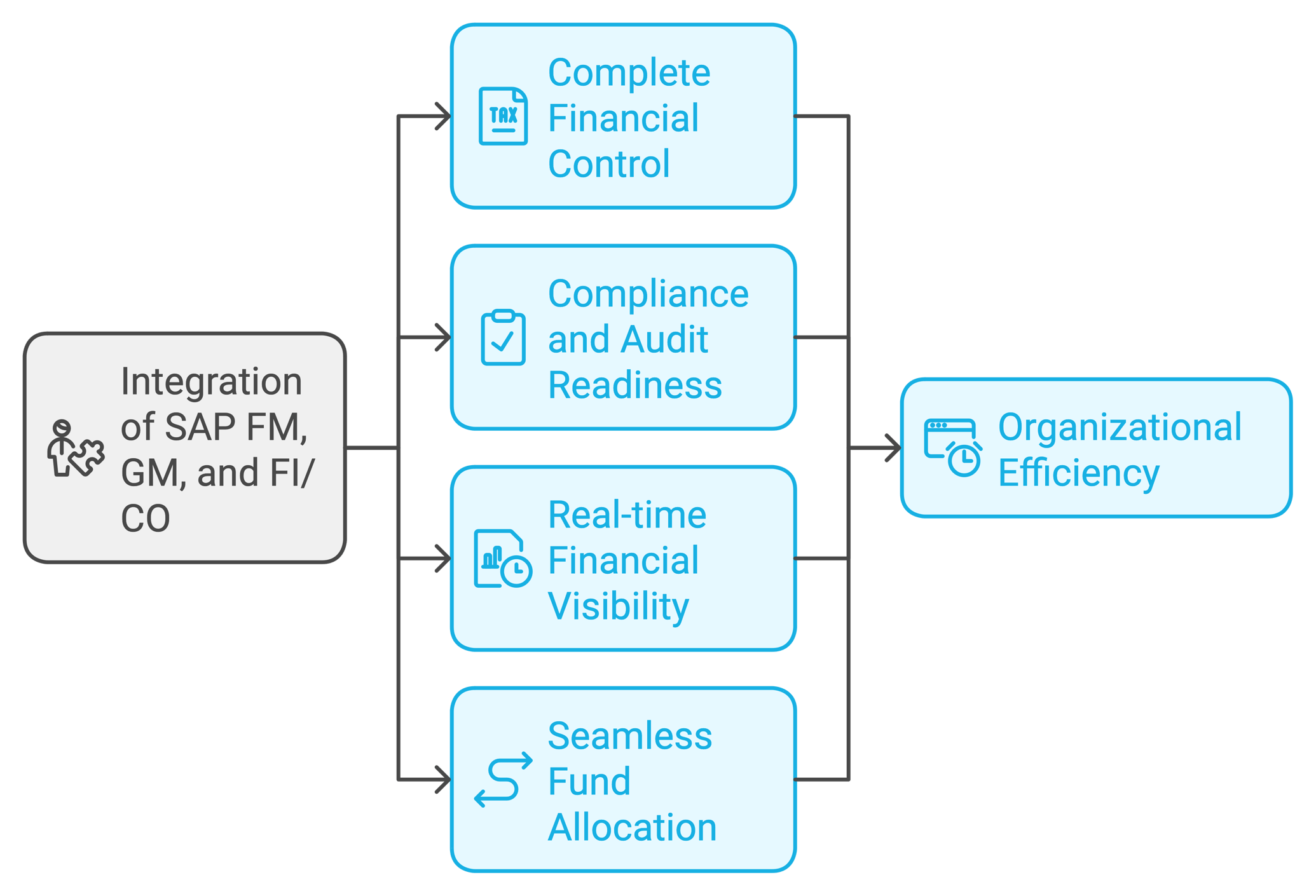What is SAP Funds Management