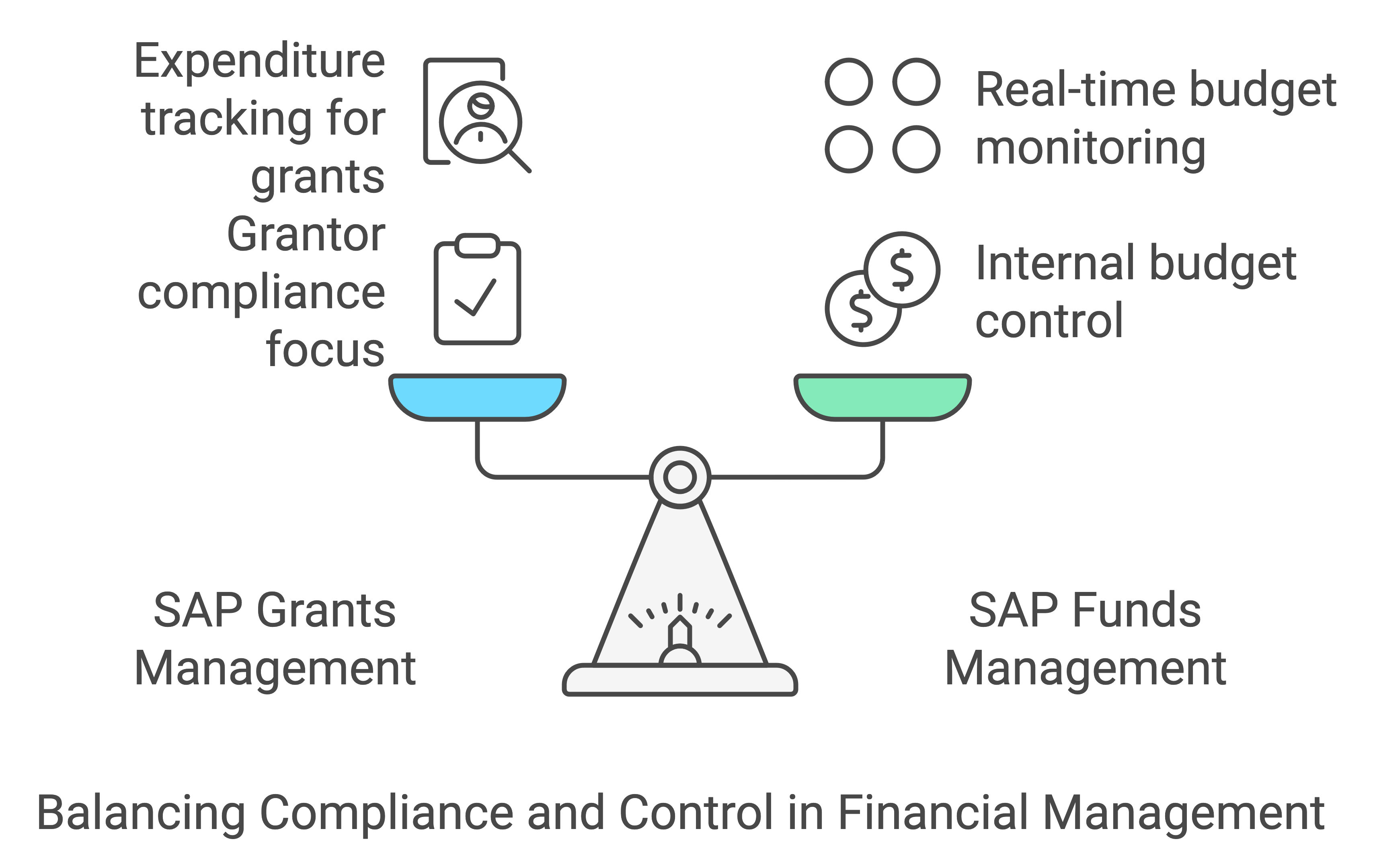 What is SAP Funds Management